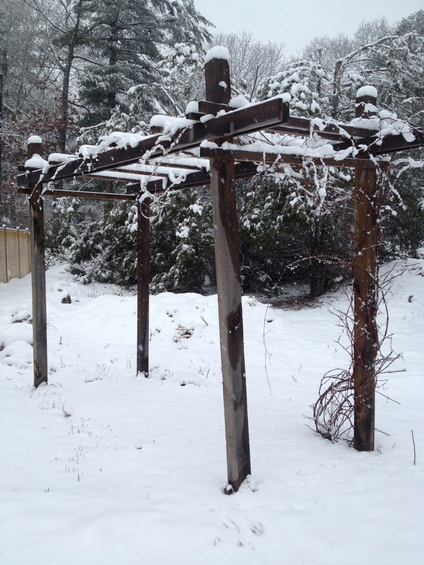 Throwback Thursday Look at the Arbor – Barbie Burr